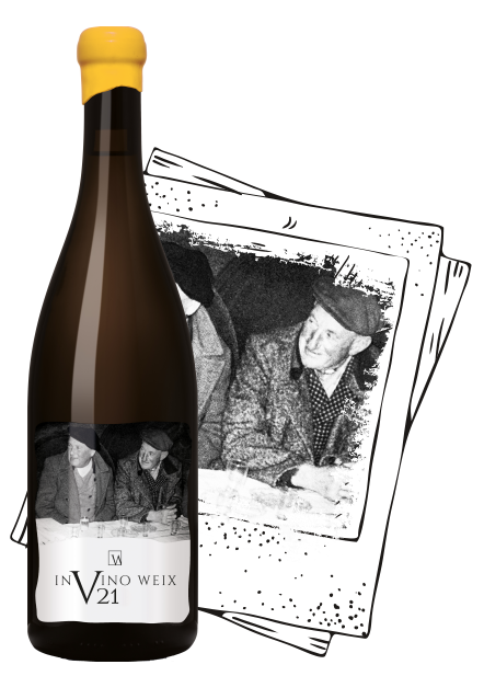 Weixelbaum, Kamptal | Österreich | Weinhandel Hiergeist