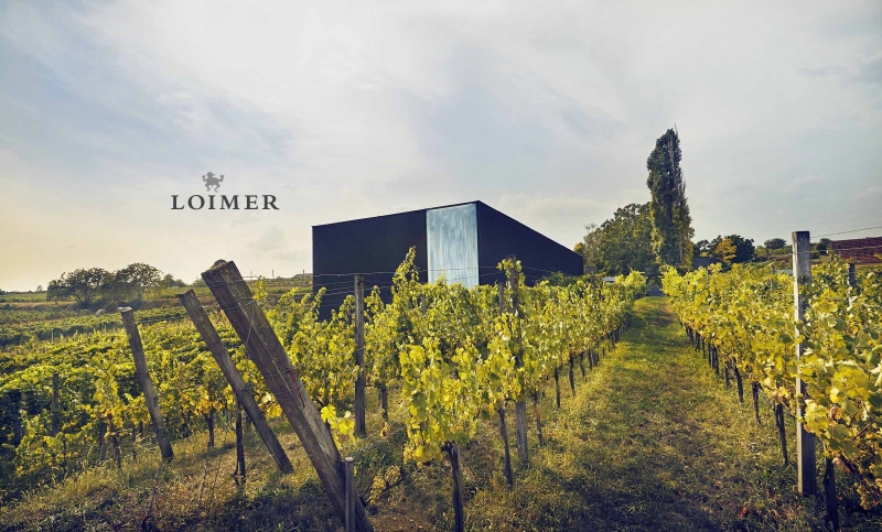 Diener Siesta kühl weingut loimer Zensur Viel Zittern